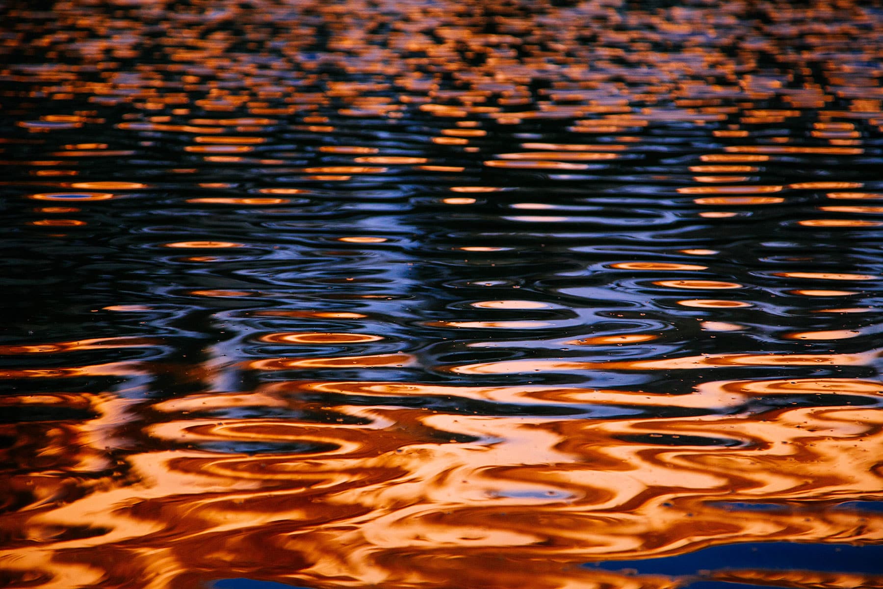 Gallatin River Task Force - Digital Spark Creative